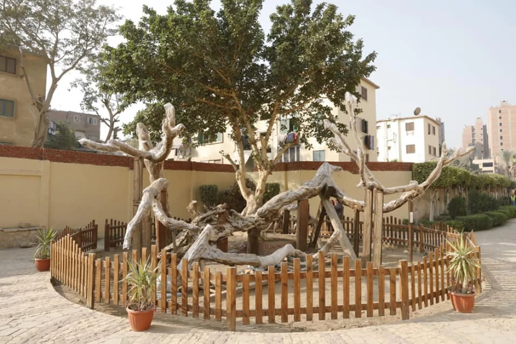 The Tree of Virgin Mary in Matareya